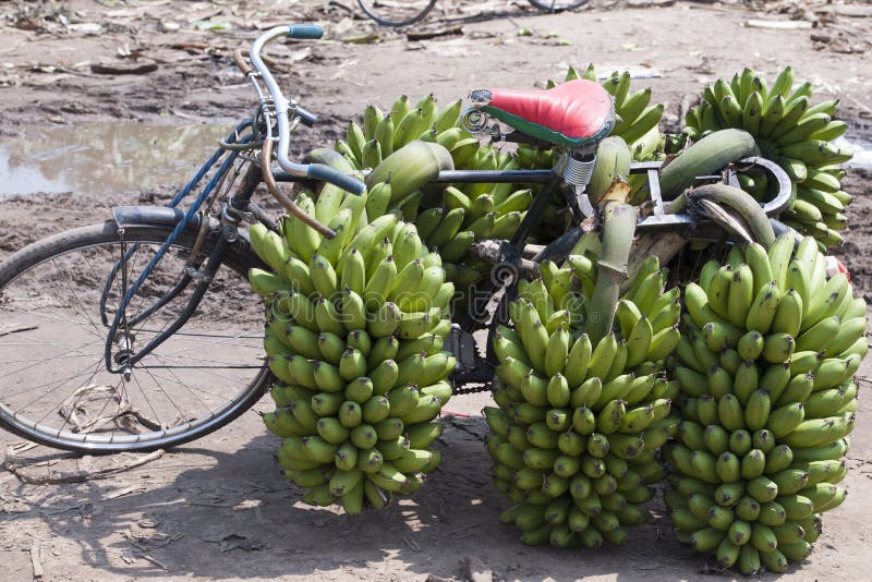 Fiets Met Bananen in Afrika Redactionele Fotografie - Image of ...