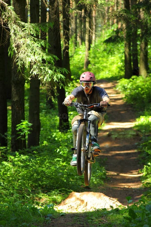 Fietser in het bos stock foto. Image of nave, fiets, fietser - 14780884