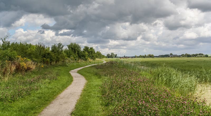 Fietspad Door Nederlands Landschap Stock Afbeelding - Image of groen ...