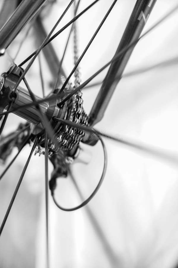 Fietswiel Op Gebarsten Aarde Stock Foto - Image of wiel, fiets: 32294200