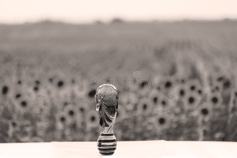 Sunflower Trophy Stock Photos - Free & Royalty-Free Stock Photos from ...