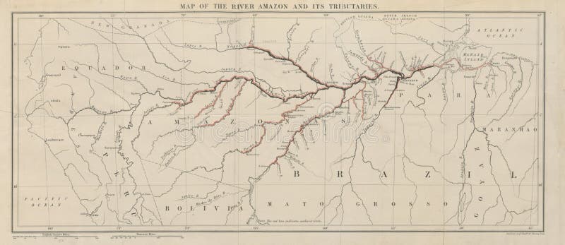 British Library Digitised Image from Page 559 of "Fifteen Thousand ...