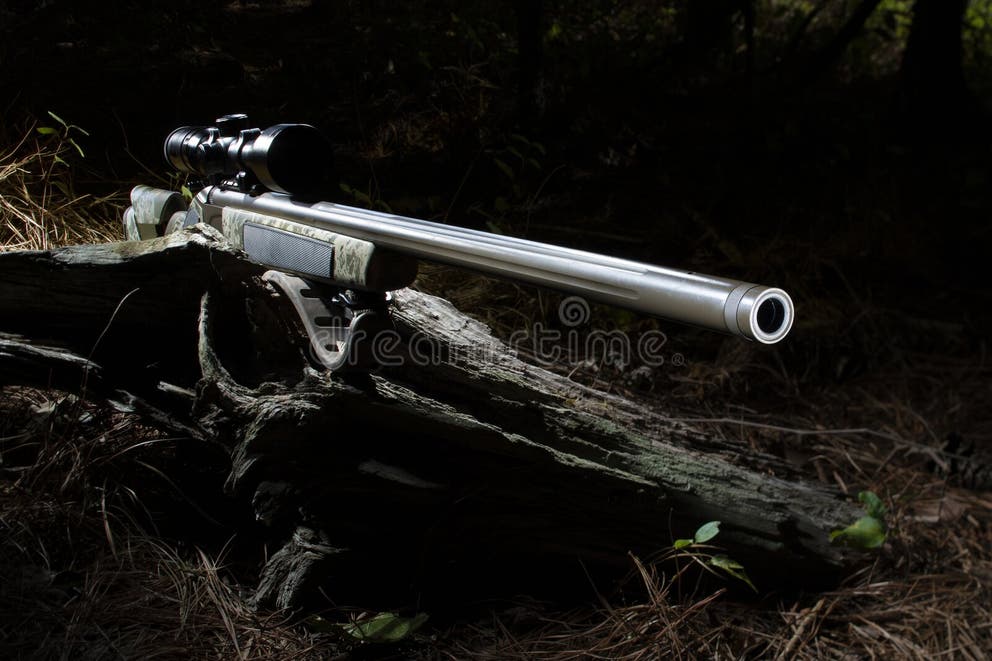 Fifty Caliber Inline Muzzleloader for Hunting Stock Image - Image of ...