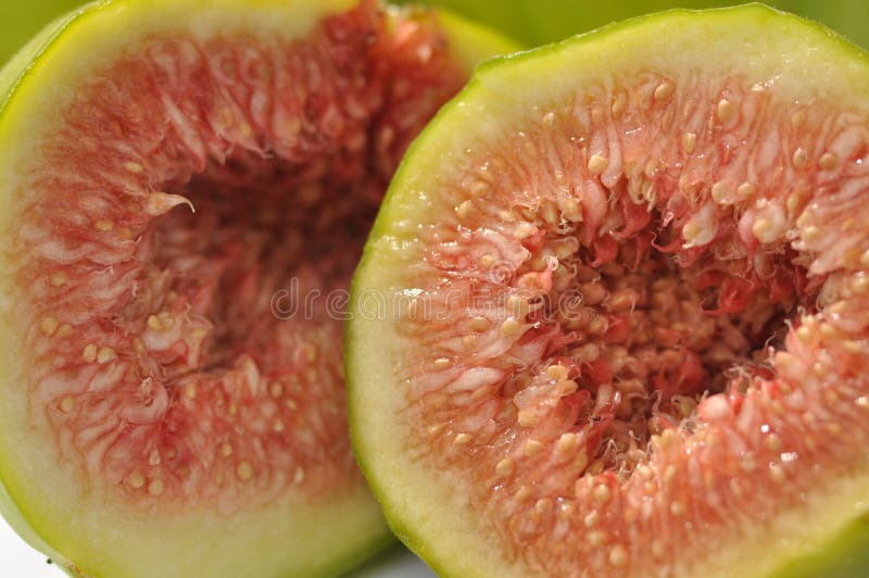 Fig stock photo. Image of skin, close, arranged, flesh - 12708504