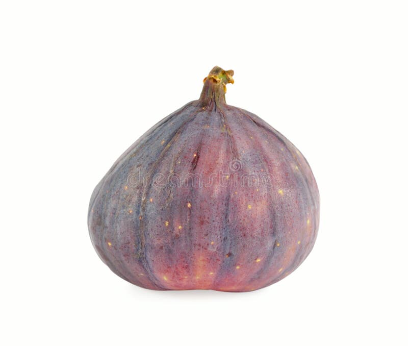 Fresh fig stock image. Image of healthy, ficus, closeup - 6288367