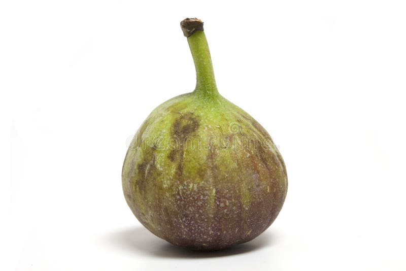 Fig stock photo. Image of fruit, fruits, kiwi, caribbean - 9852404