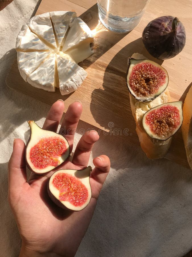 Fig aesthetics stock photo. Image of pleasure, cheese - 198558810