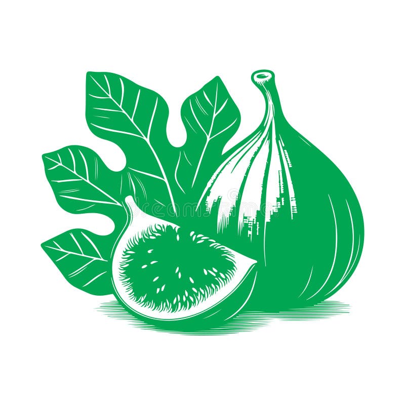 Fig Cartoon Illustration. Cut and Whole Fig with Leaf Stock ...