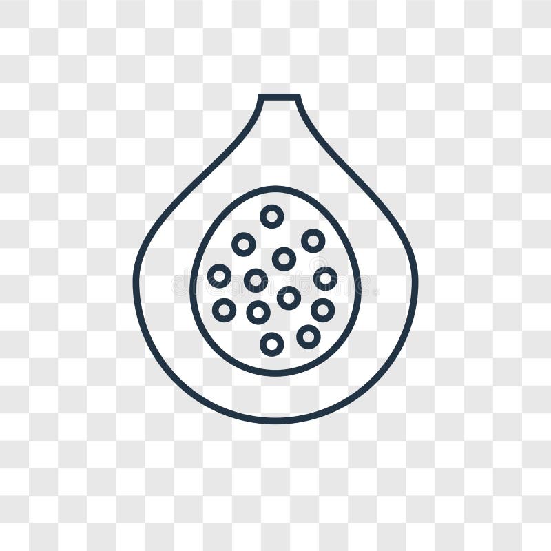 Fig Concept Vector Linear Icon Isolated on Transparent Background, Fig ...