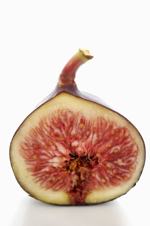 Fig cut in half stock image. Image of fruit, single, color - 23704941