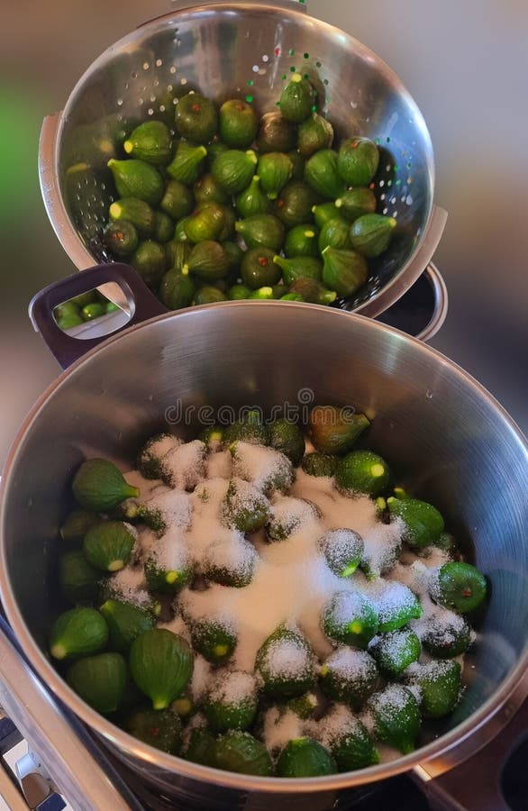 Fig Figs Wild Making Syrop Sweet in the Kitchen Stock Photo - Image of ...
