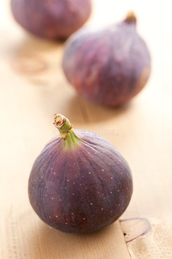 Fig fruit stock photo. Image of figs, health, nature - 16148548