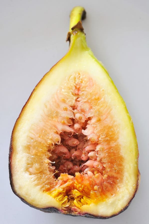 Fig cut in half stock image. Image of half, single, ingredient - 23704941