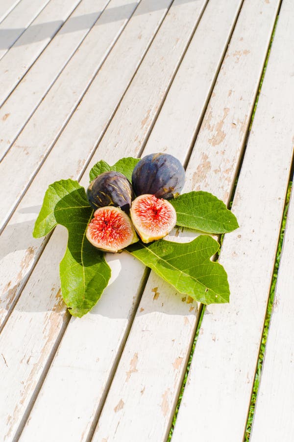 Fig Fruit stock image. Image of natural, autumn, food - 40951501