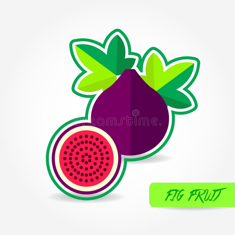 Fig Fruit Fresh Fruit Graphic Vector Illustration. Stock Vector ...