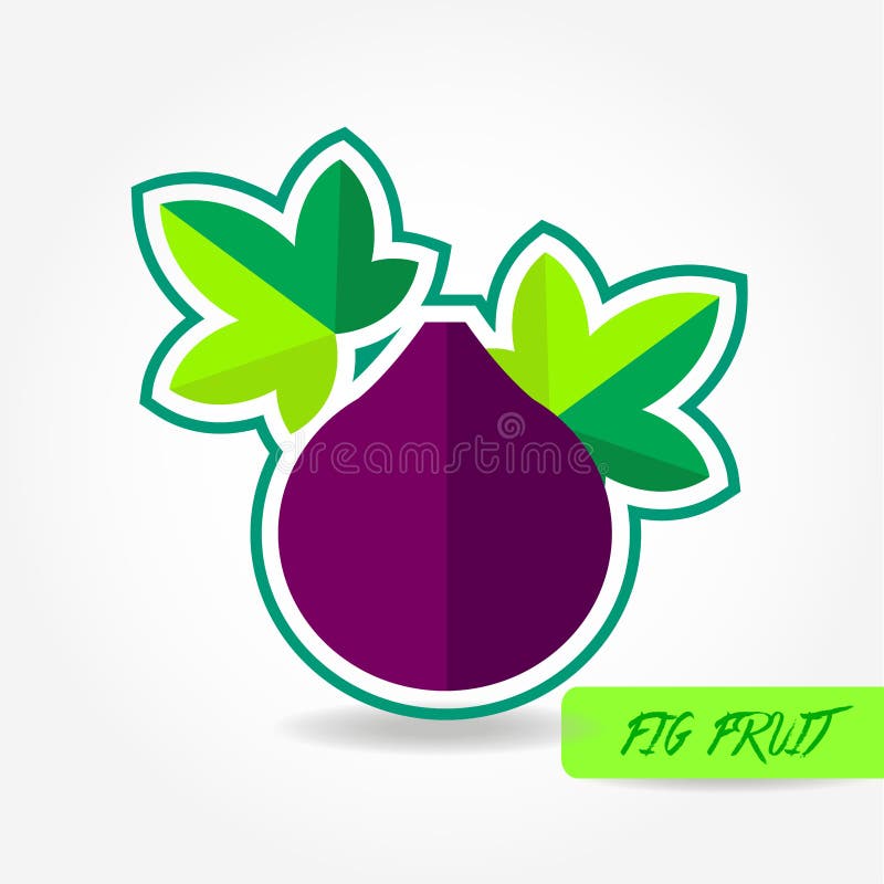 Fig Fruit Fresh Fruit Graphic Vector Illustration. Stock Vector ...