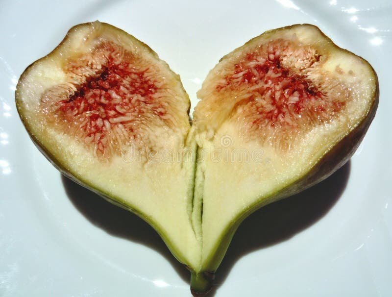Fig fruit heart stock image. Image of white, fruit, shiny - 191056477