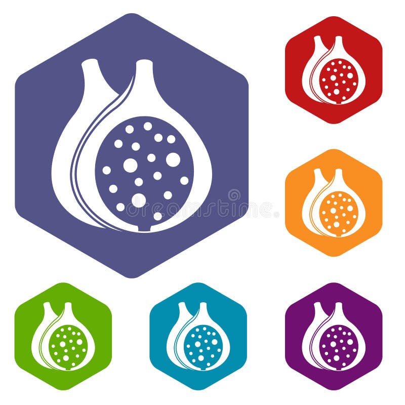 Fig Fruit Icons Set Hexagon Stock Vector - Illustration of fruit ...