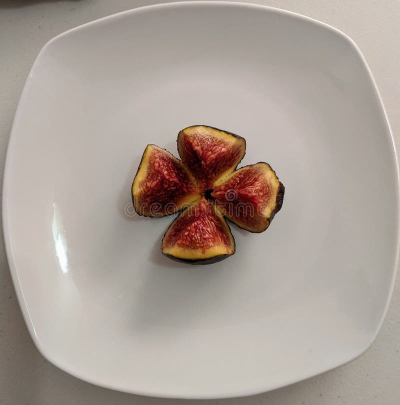 Fig Fruit Star Design Style Stock Photo - Image of style, star: 163170246