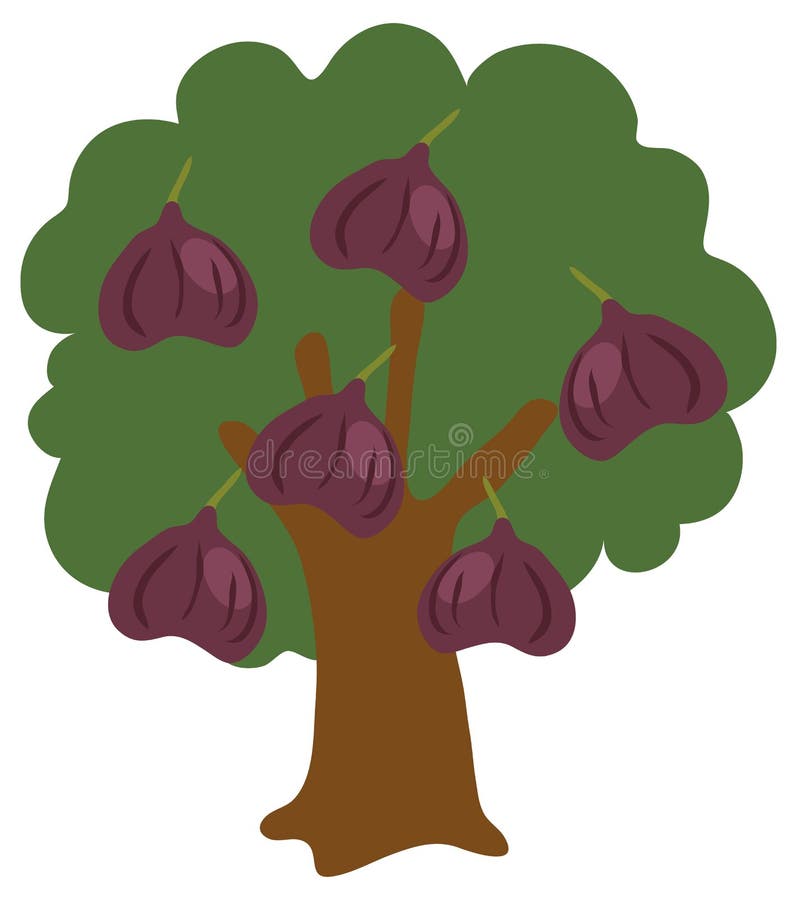 Fig Tree Trunk Stock Illustrations – 198 Fig Tree Trunk Stock ...