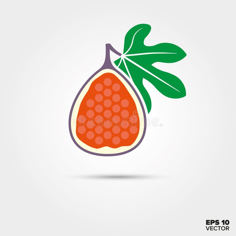 Fig fruit vector icon stock vector. Illustration of leaf - 87950825