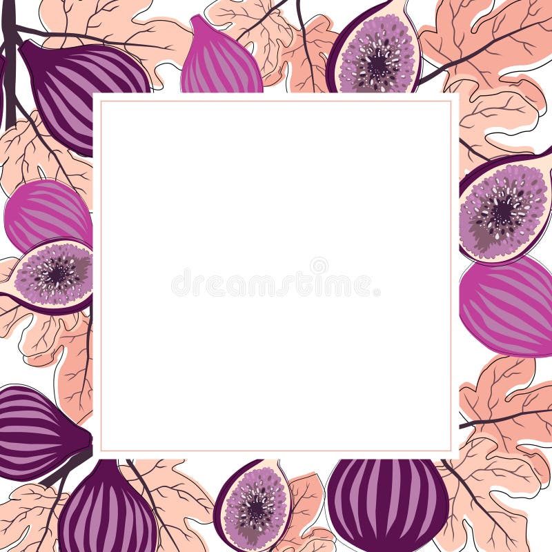 Fig Frame Stock Illustrations – 716 Fig Frame Stock Illustrations ...