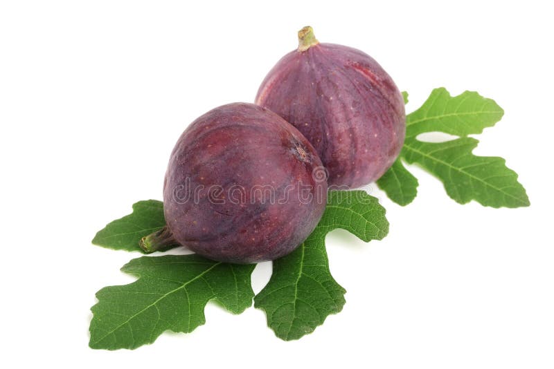 Fig Fruits with Leaves Isolated on White Background Stock Photo - Image ...