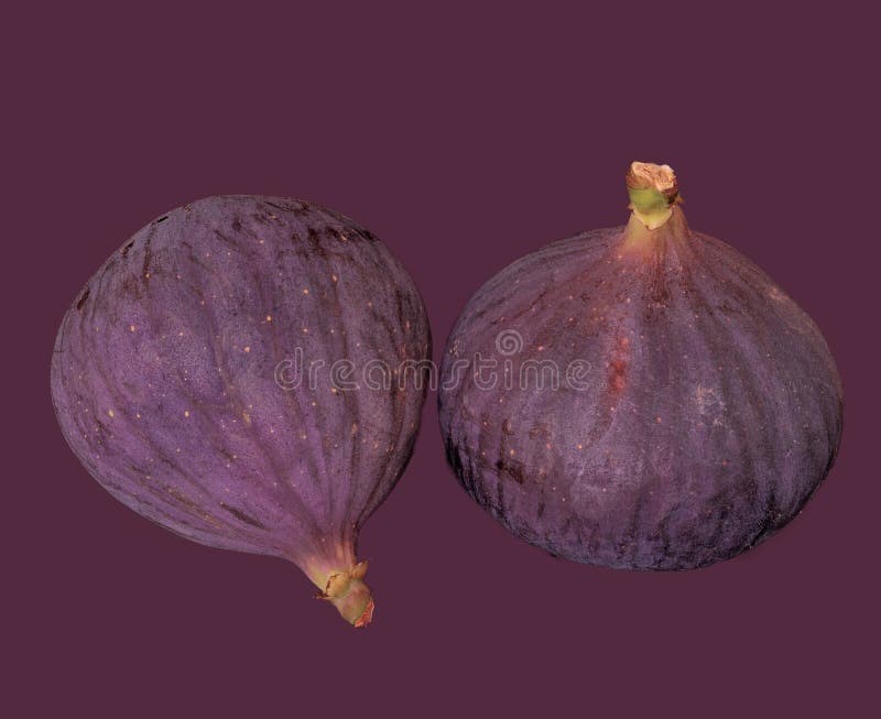 Fig Fruits Lie on a Blue Background Stock Photo - Image of united ...