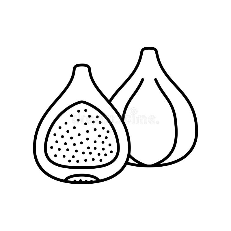 Fig Icon for Fresh Fruit with Half Slice Stock Vector - Illustration of ...