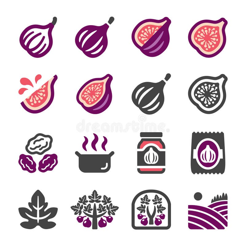 Fig icon set stock vector. Illustration of exotic, fruit - 135243076