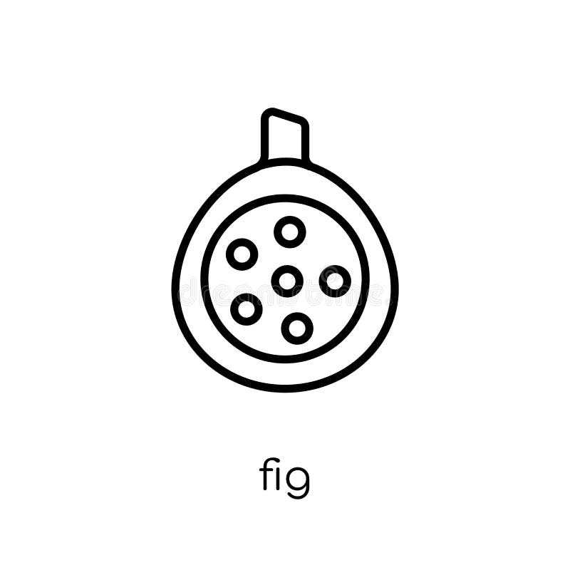 Fig Icon. Trendy Modern Flat Linear Vector Fig Icon on White Background ...