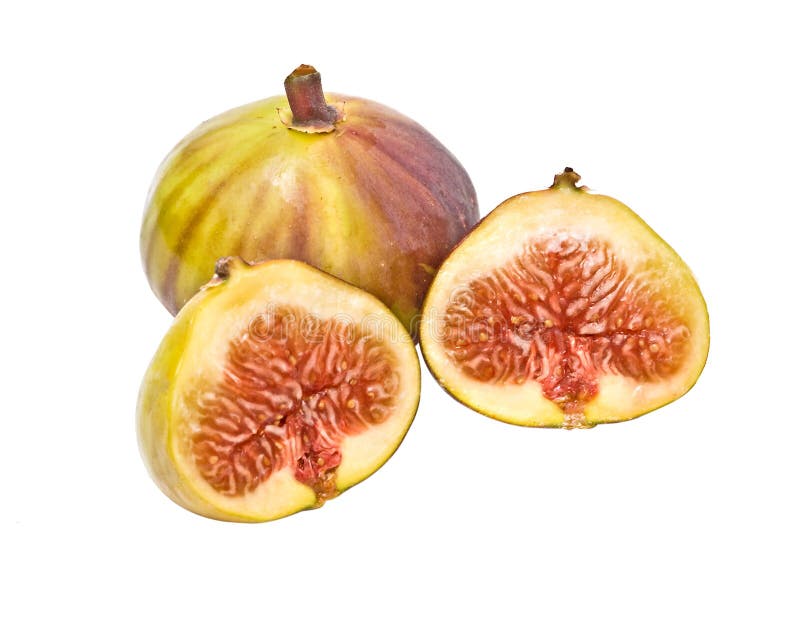 Fig Its Section Stock Photos - Free & Royalty-Free Stock Photos from ...