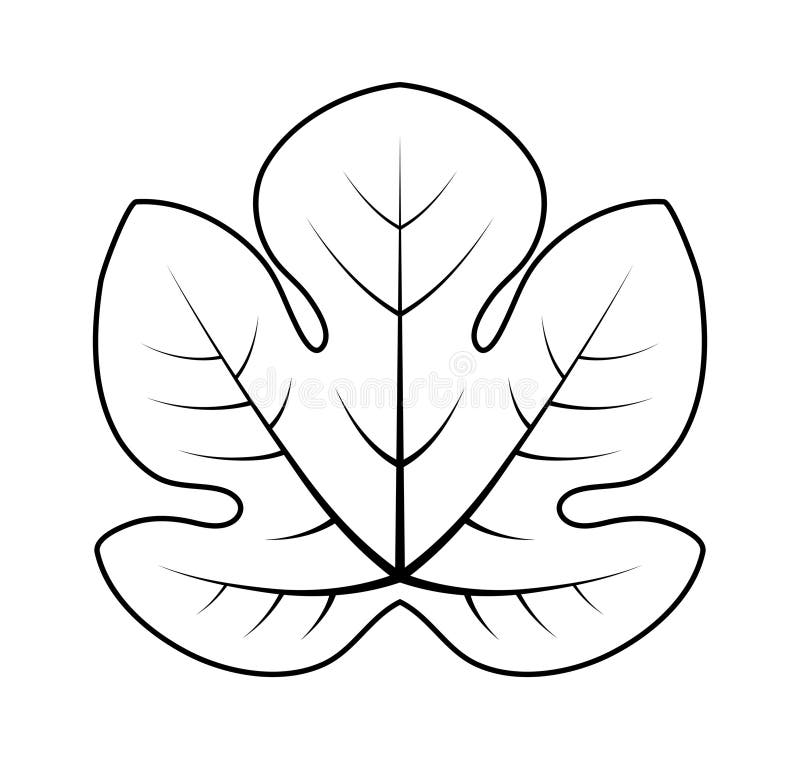 Fig leaf stock illustration. Illustration of object - 352608943