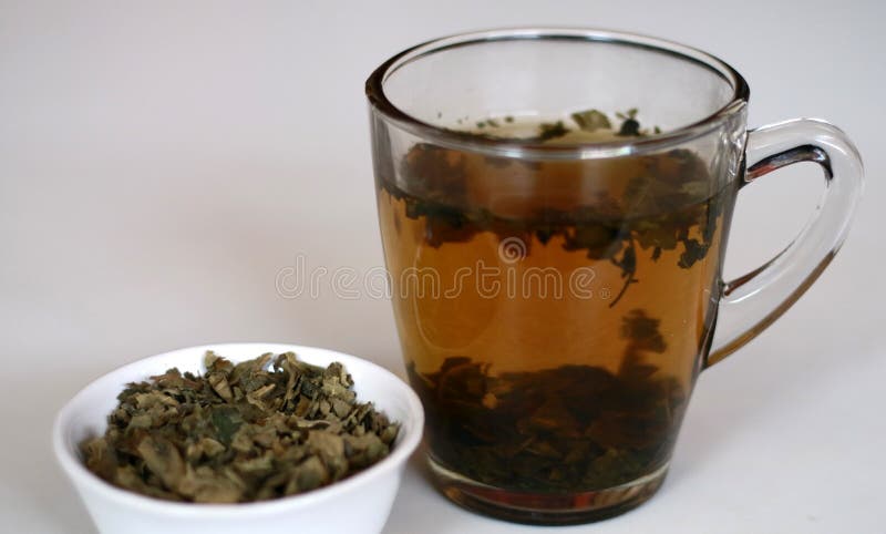 Fig leaf tea stock photo. Image of organic, ficus, common - 135331180
