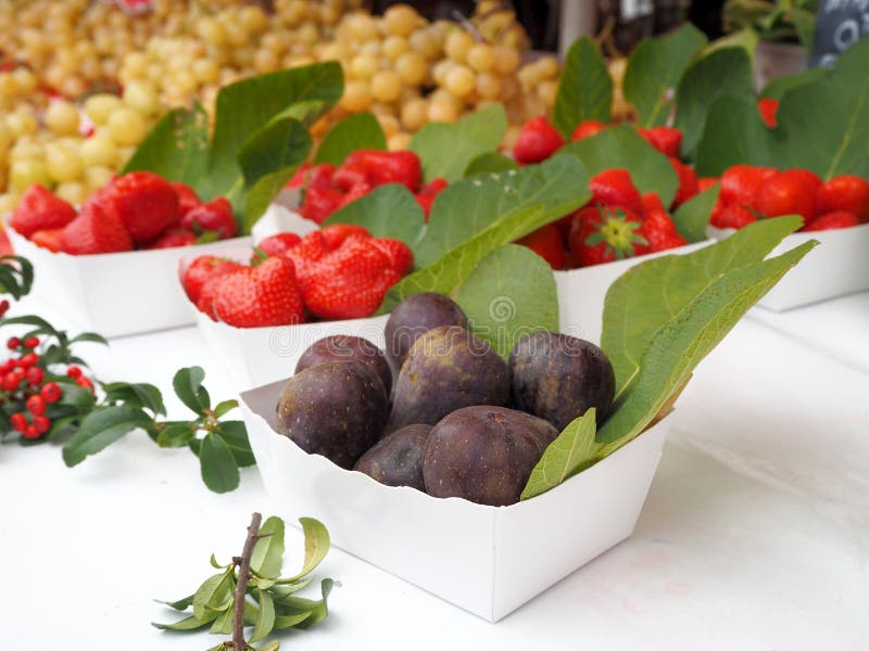 Fig on market. stock image. Image of nature, healthy - 63490353