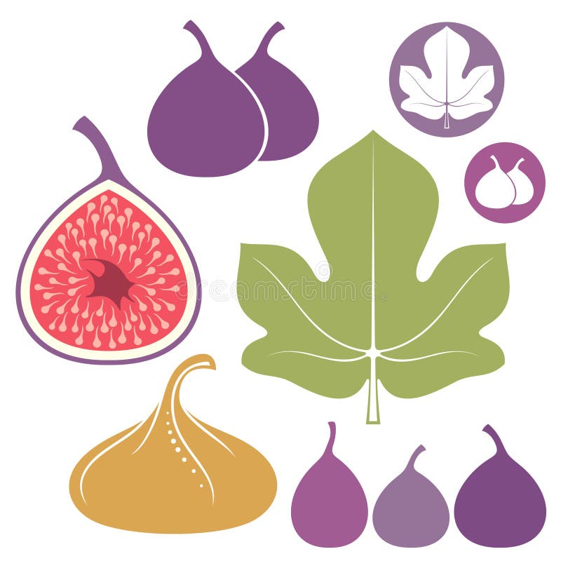 Fig Leaves Logo