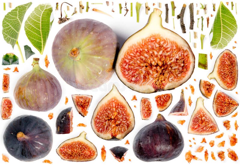 Fig Slice and Leaf Collection Stock Image - Image of collection, object ...