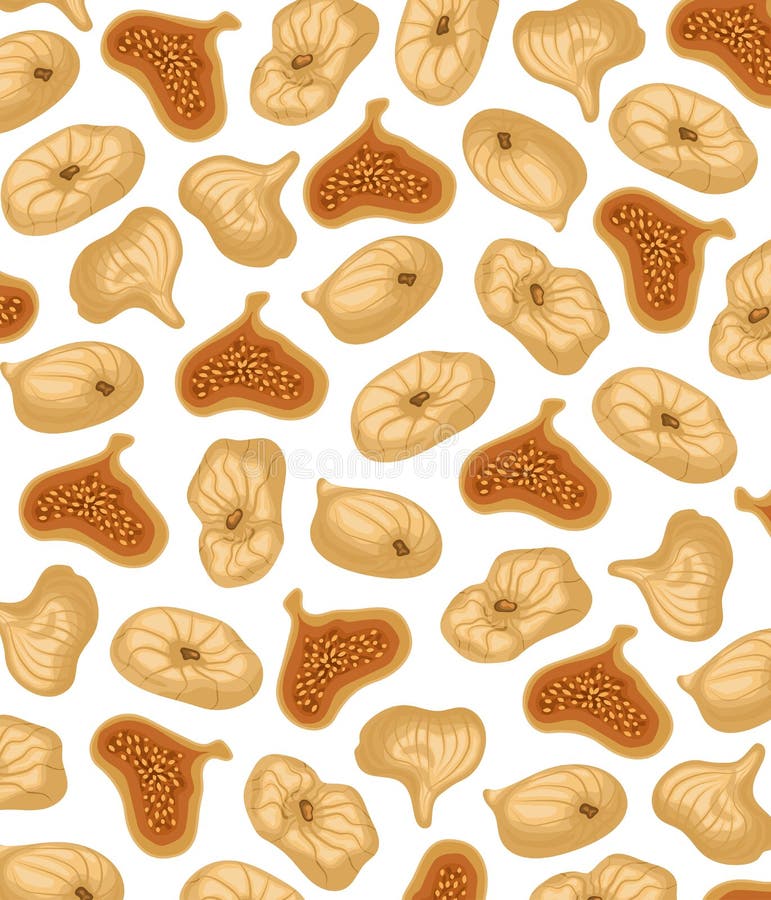 Fig slices. Sample stock vector. Illustration of closeup - 240158107
