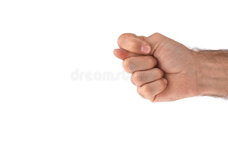 Snook No Background Stock Photos - Free & Royalty-Free Stock Photos ...