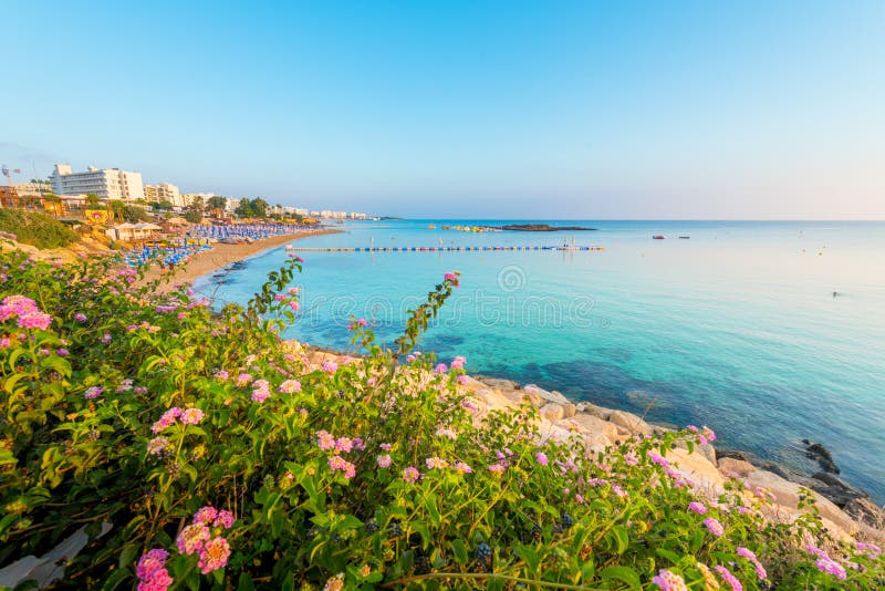 Fig Tree Bay Beach in Protaras, Cyprus Stock Photo - Image of beautiful ...