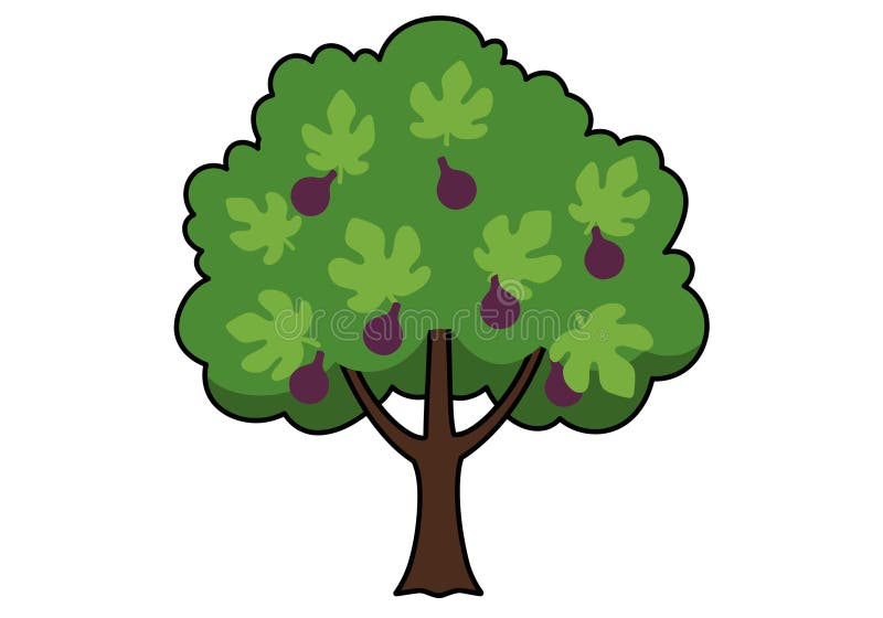 Fig tree clip art stock vector. Illustration of food - 365704255