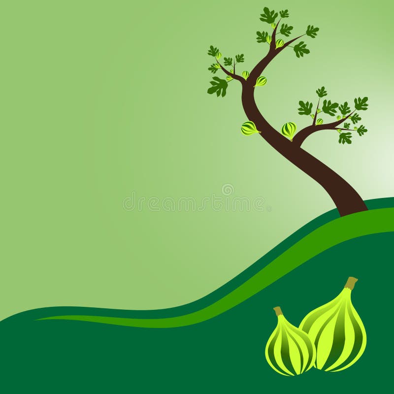 Fig Tree with Leaves and Fruits Stock Vector - Illustration of graphic ...