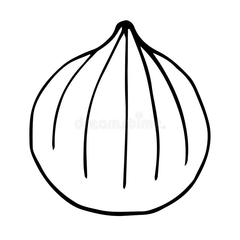 Fig Vector Illustration, Hand Drawing Doodle Stock Vector ... Fig Vector Illustration, Hand Drawing Doodle Stock Vector ...