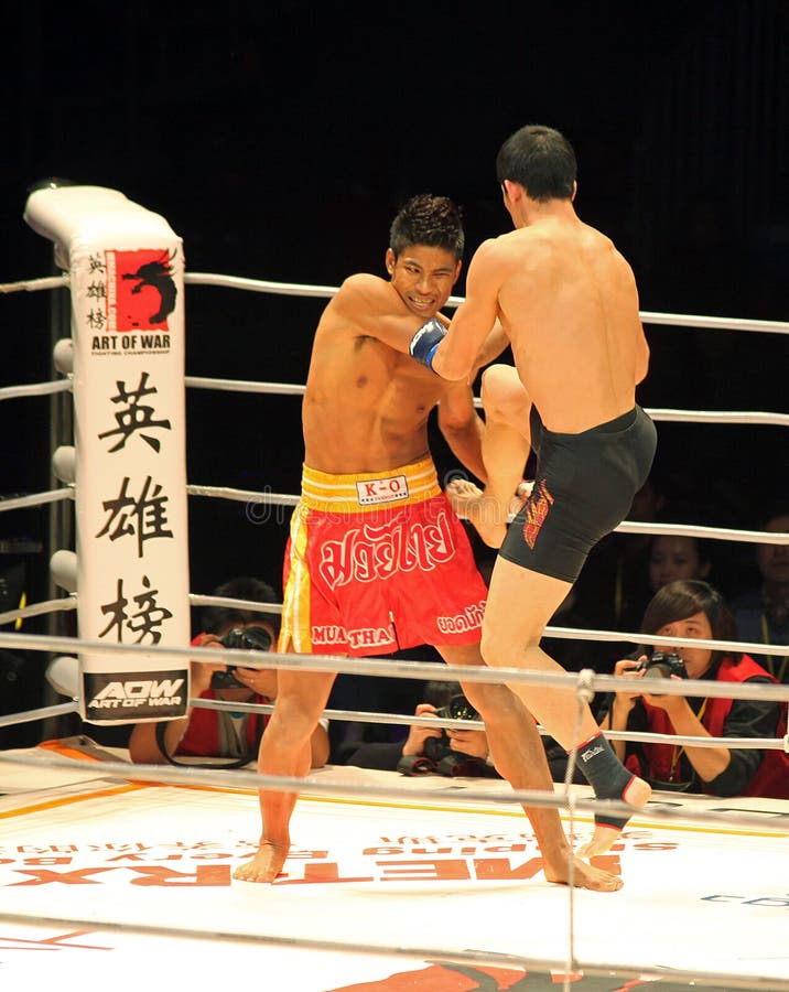 Fighting editorial stock image. Image of beijing, boxing - 11971774