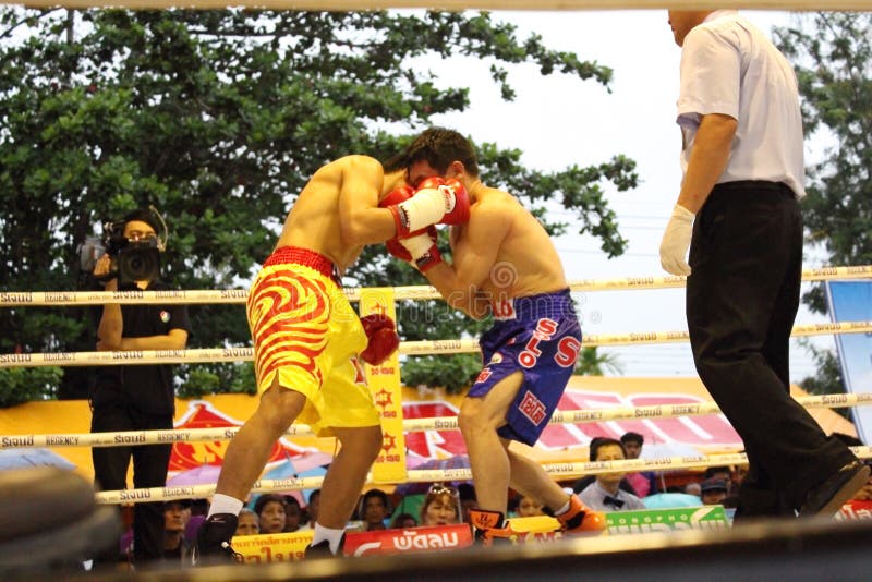 Fight boxing editorial stock photo. Image of canvas, bout - 28262458