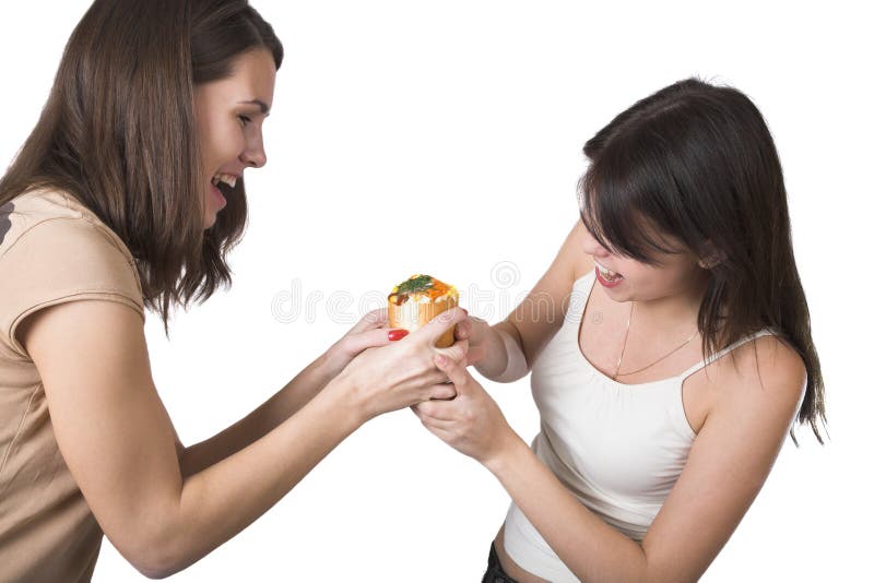Fight for dinner stock image. Image of colored, lunch - 4878687