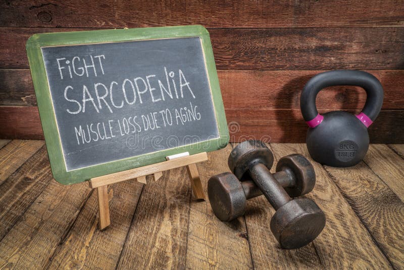 Fight Sarcopenia, Muscle Loss Due To Aging Stock Image - Image of ... Fight Sarcopenia, Muscle Loss Due To Aging Stock Image - Image of ...