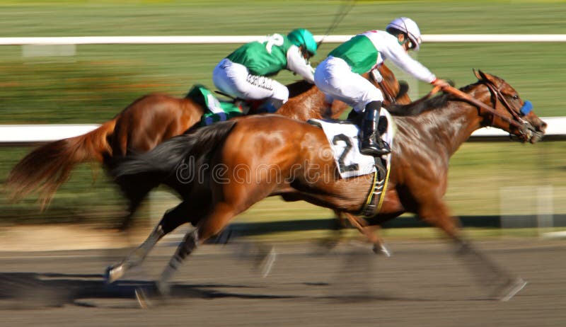 Fight to the Finish editorial stock photo. Image of crown - 13975113