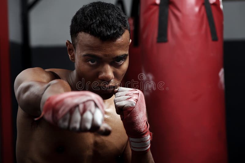 Fight training stock image. Image of boxer, physical - 23112149