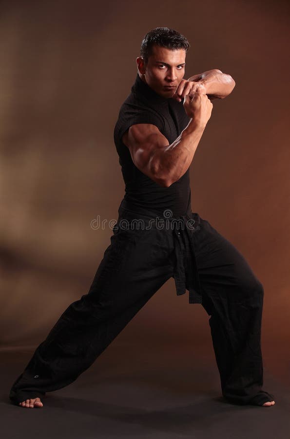 The fighter stock photo. Image of athletic, body, chest - 15403958